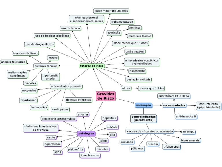 S3 - M1 - GT2 - Gravidez de Risco | PDF