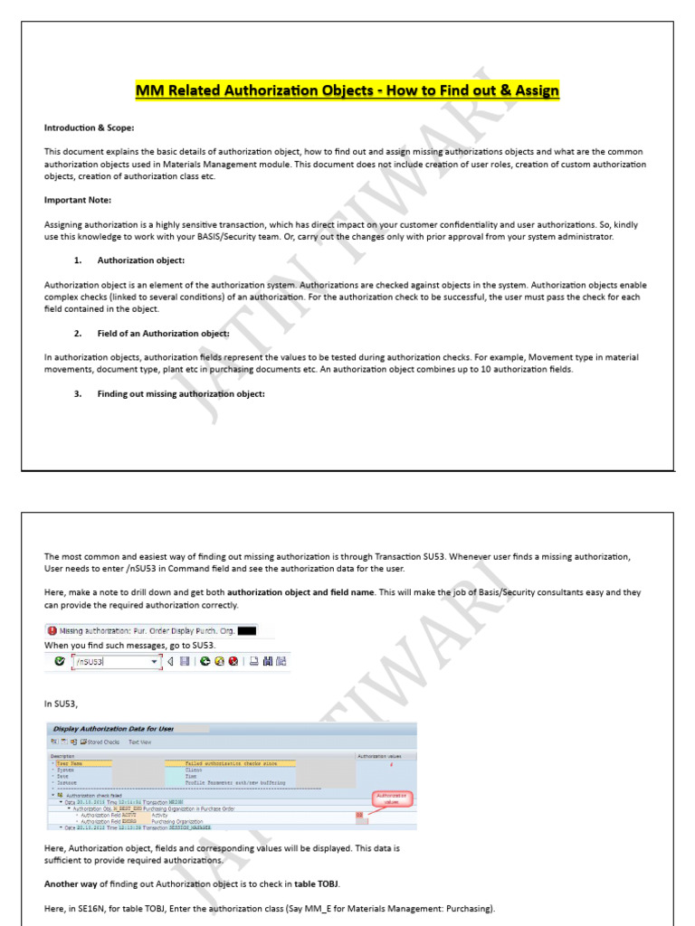 MM Authorization Objects Guide | PDF | Computing