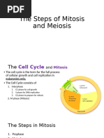 Meiosis Amoeba Sisters | PDF | Meiosis | Mitosis