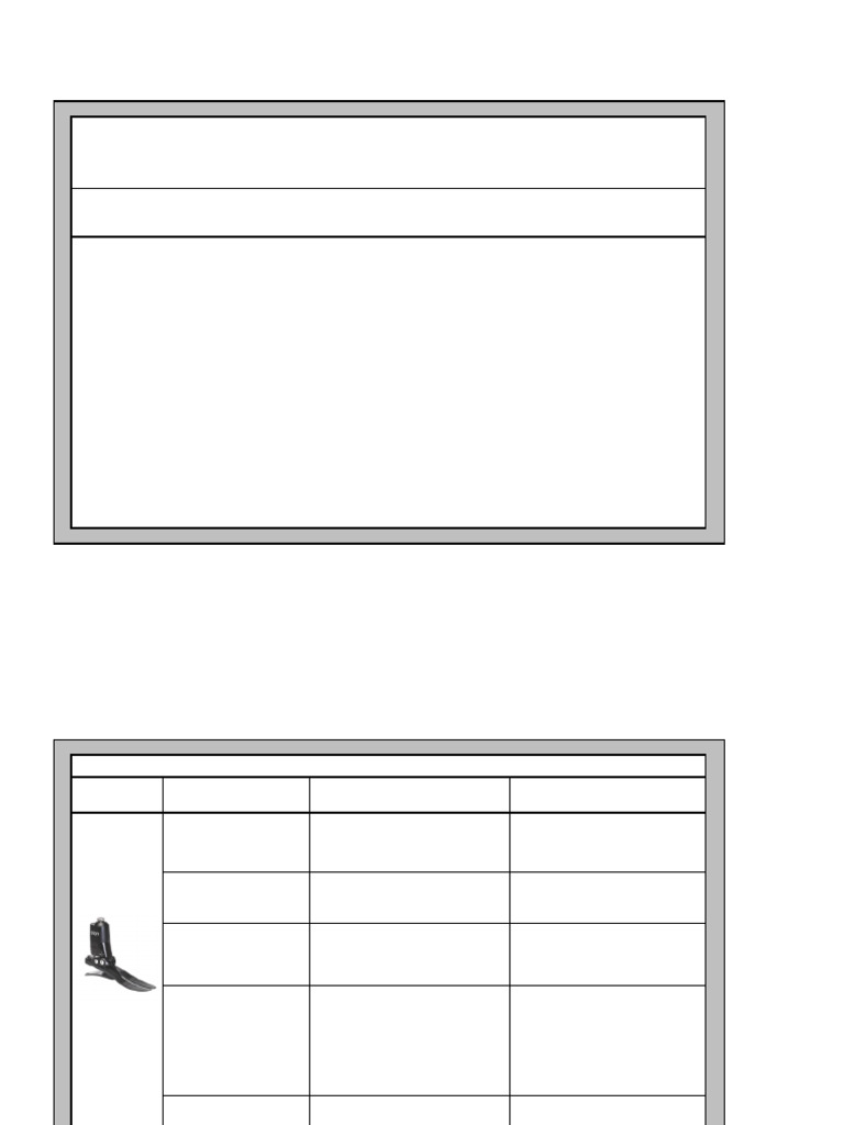 Endolite Prosthetic Feet Features | PDF | Foot | Prosthesis