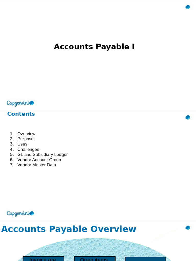 Accounts Payable Overview and Management | PDF | Accounts Payable ...