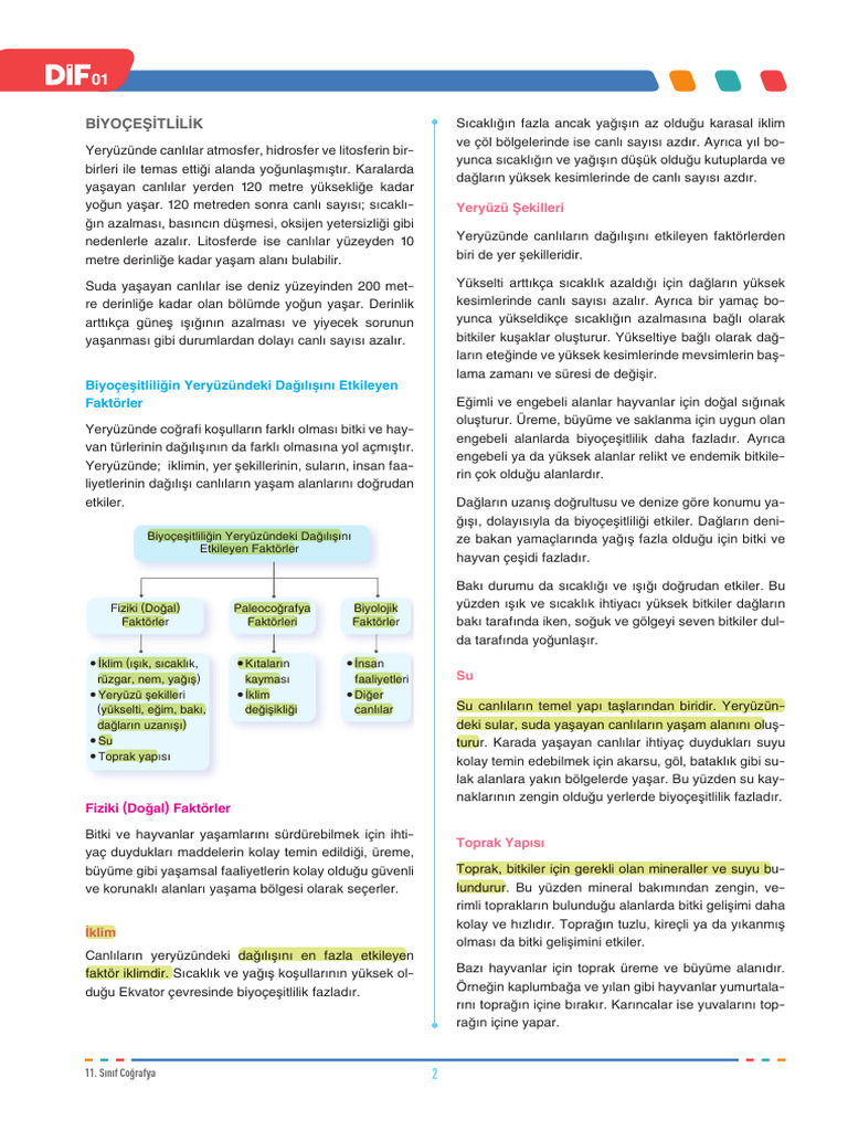 11 Coğrafya - DİF - FÖY 1 - Ornek | PDF