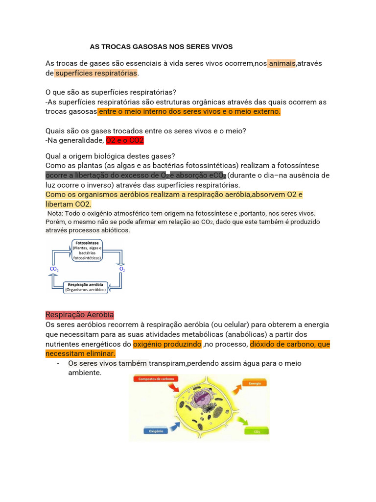 Trocas Gasosas em Seres Vivos | PDF