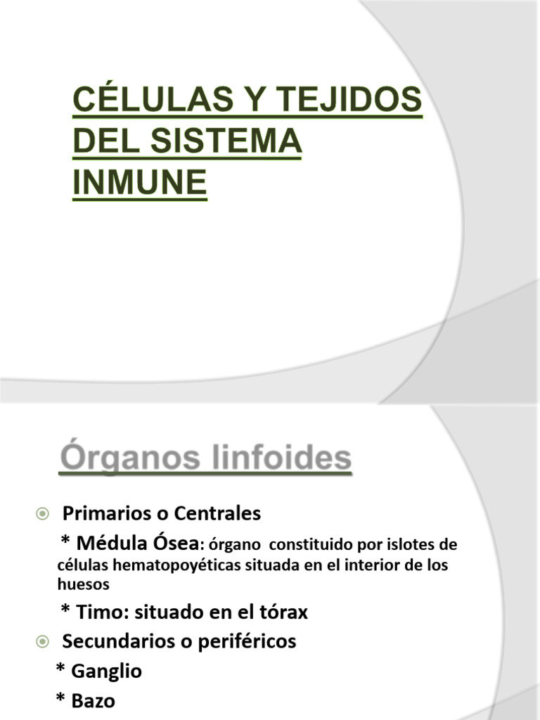 Células y Tejidos del Sistema Inmune | PDF | Hematopoyesis | Inflamación