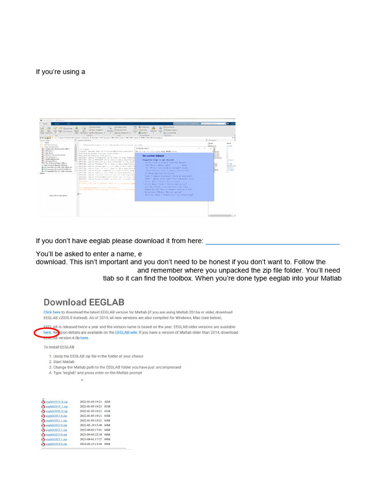 Install EEGLAB in MATLAB 2022.1 | PDF