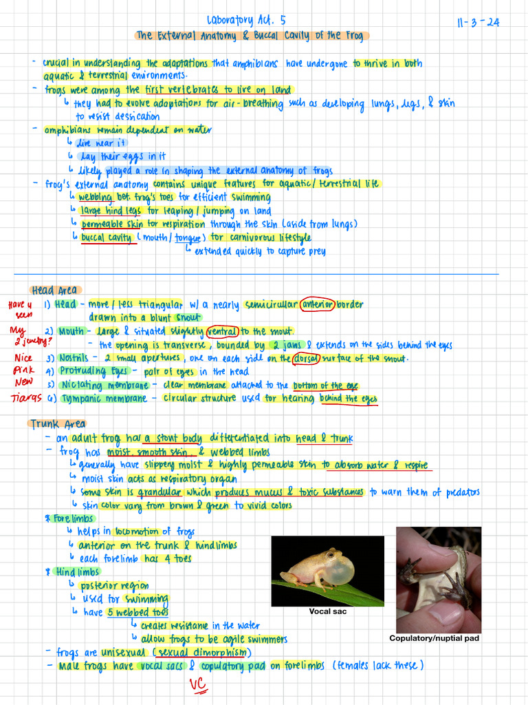 Frog Anatomy for Biology Students | PDF | Frog | Amphibian