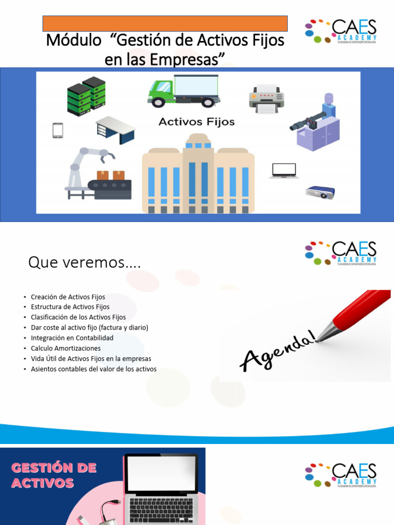 Gestion Activos Fijos 30-10-2024 | PDF | Activo fijo | Contabilidad