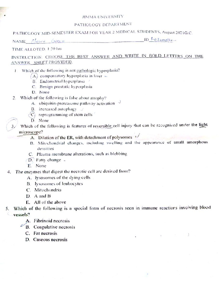 Pathology Exam Overview | PDF