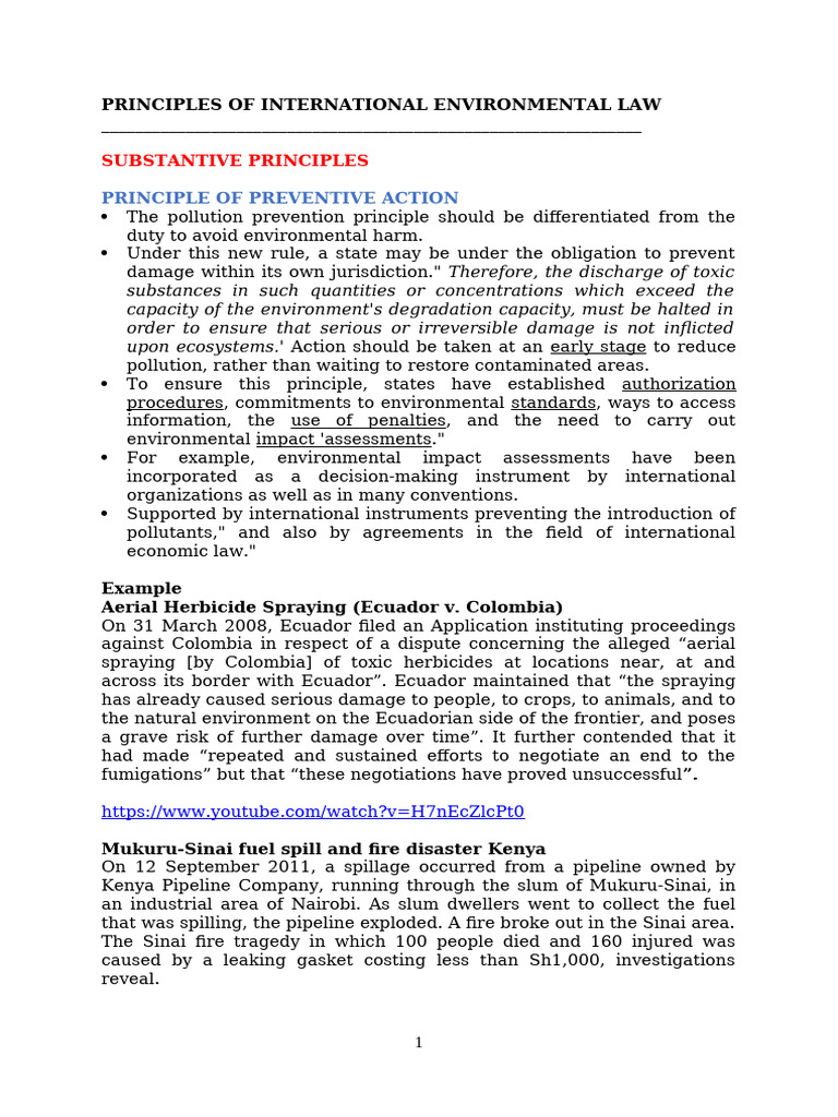 Principles of International Environmental Law | PDF | Sustainability ...