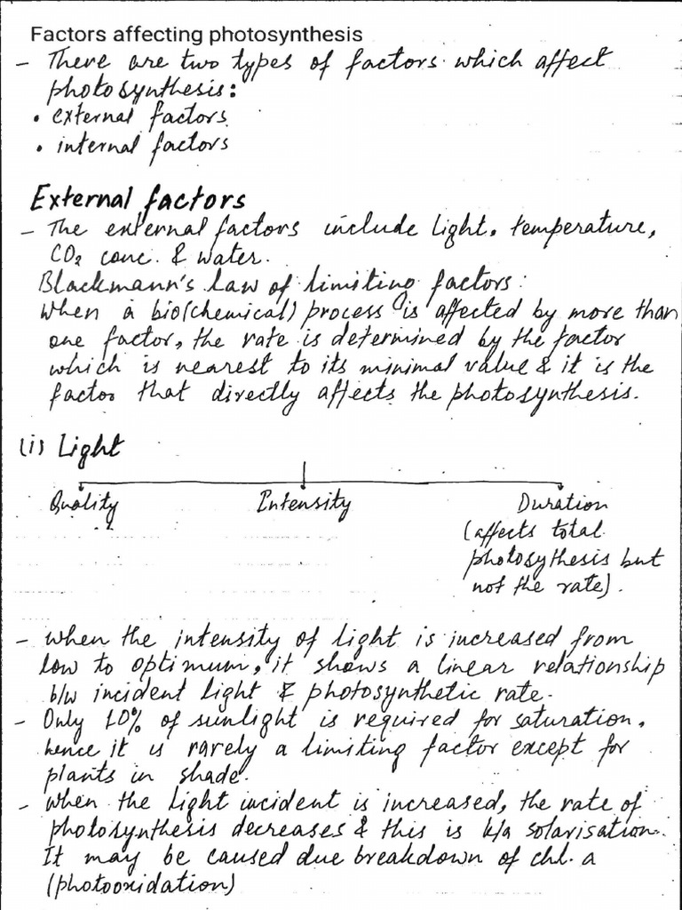 Factors Affecting Photosynthesis | PDF
