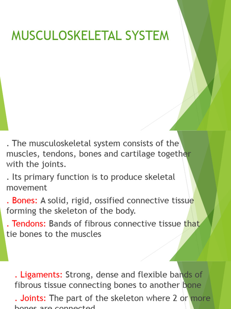 MUSCULOSKELETAL SYSTEM(1) | PDF | Human Musculoskeletal System | Muscle