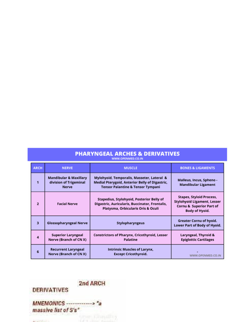 AnatLL Torso | PDF | Human Anatomy | Musculoskeletal System