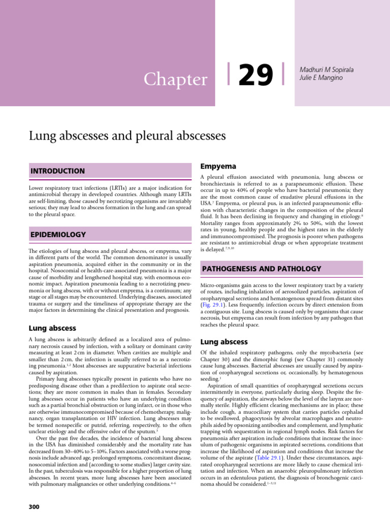 Lung abcess | PDF | Pneumonia | Infection