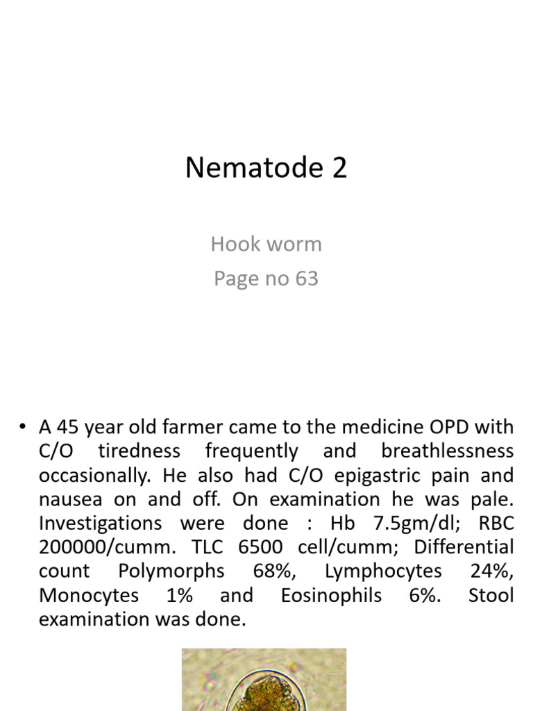 Hook Worm | PDF