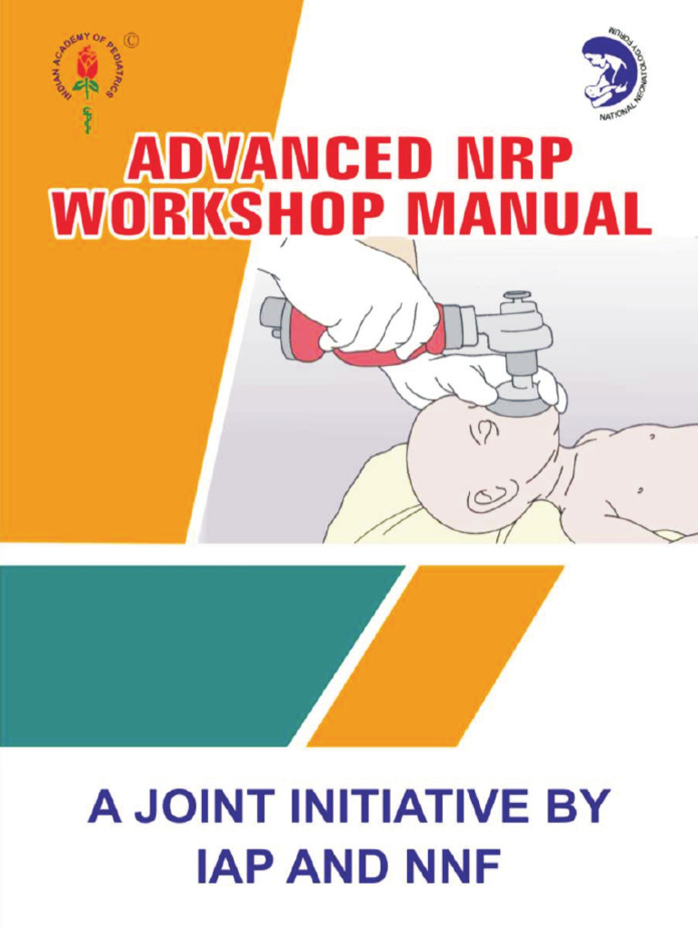 Advanced NRP Workshop Mannual | PDF
