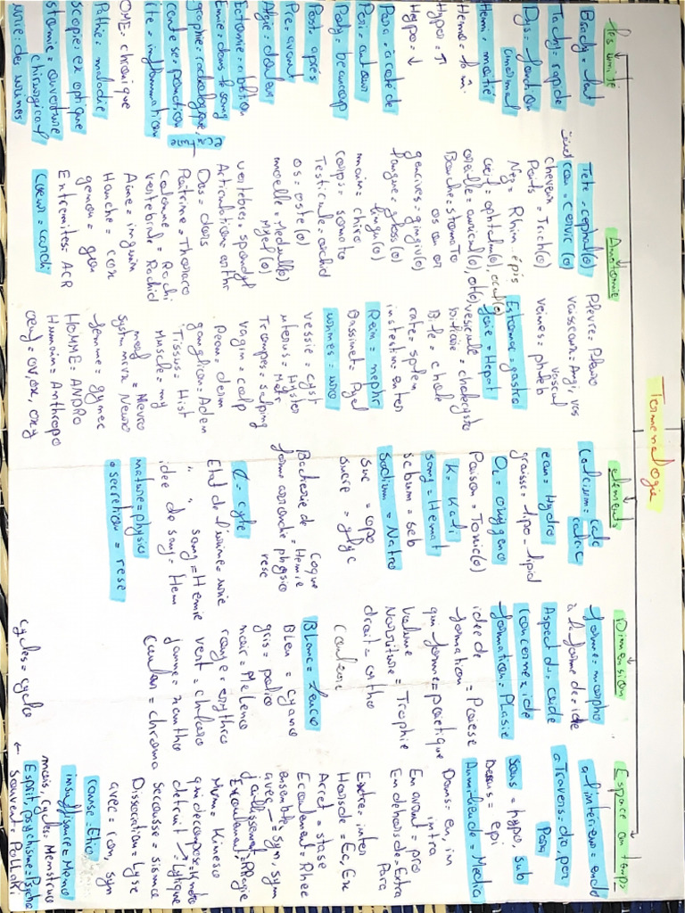 Terminologie Et Sémio | PDF