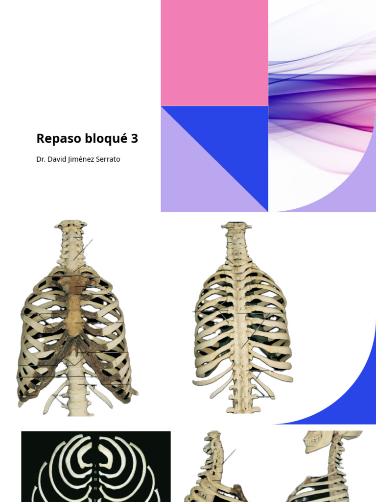 Repaso Bloqué 3 | PDF
