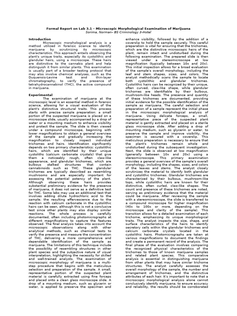 FLR 3.1 SORIMA | PDF | Cannabis | Cannabis (Drug)