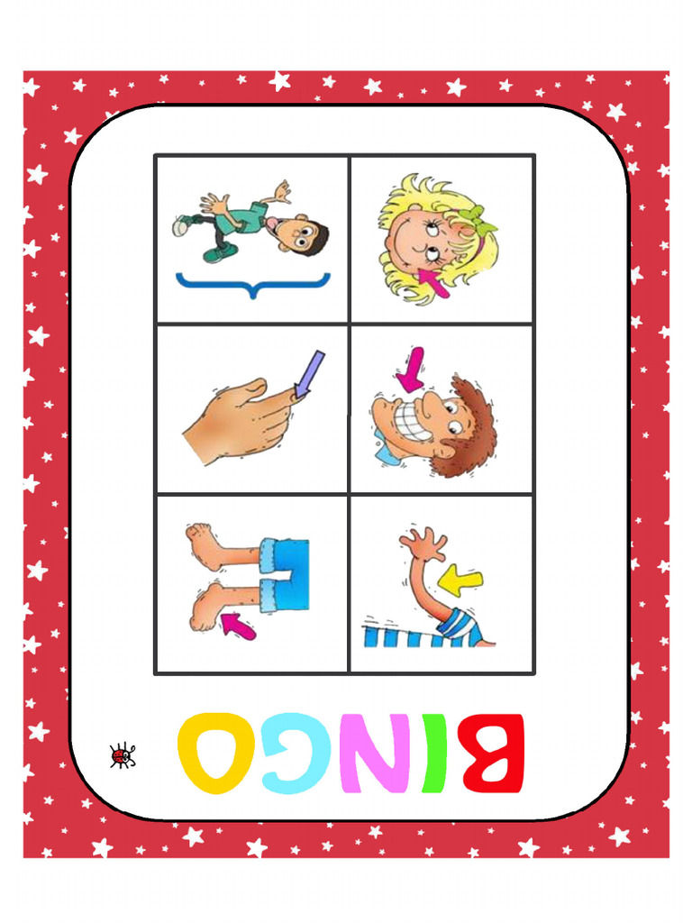 Bingo Cuerpo Humano | PDF