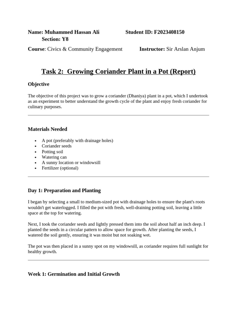 Growing Coriander: A Step-by-Step Guide | PDF | Leaf | Coriander