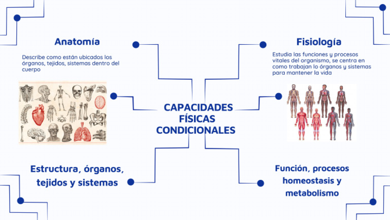 Capacidades Físicas Condicionales | PDF