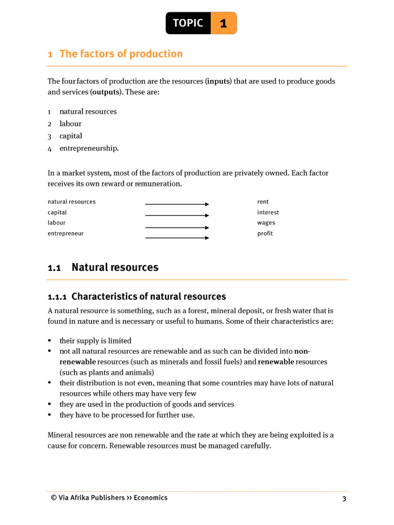 Via Afrika Economics Grade 11 Study Guide | PDF