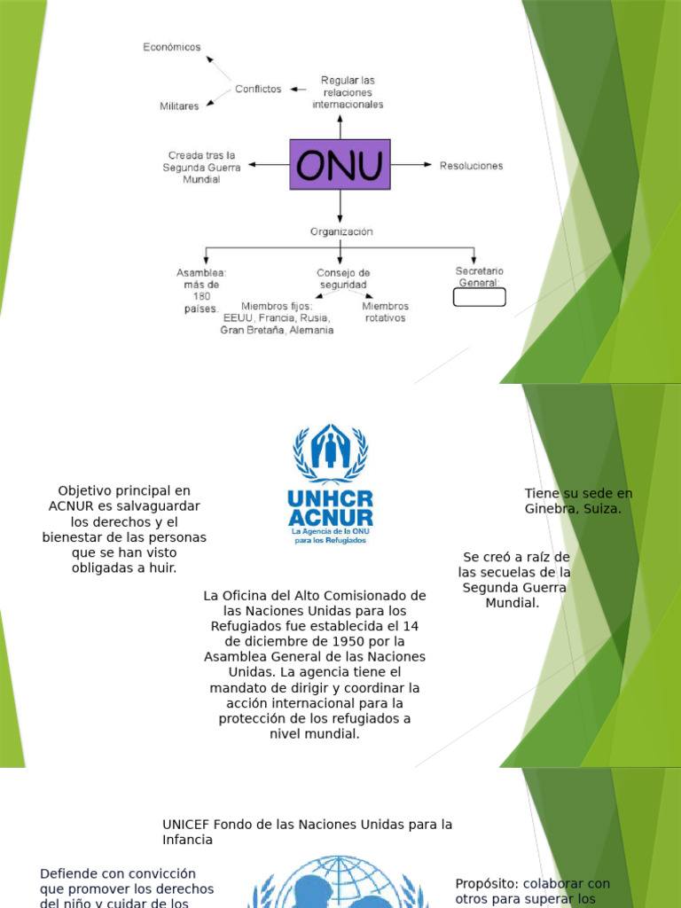 Organismos ONU: ACNUR, UNICEF, FAO | PDF | Naciones Unidas | Relaciones ...