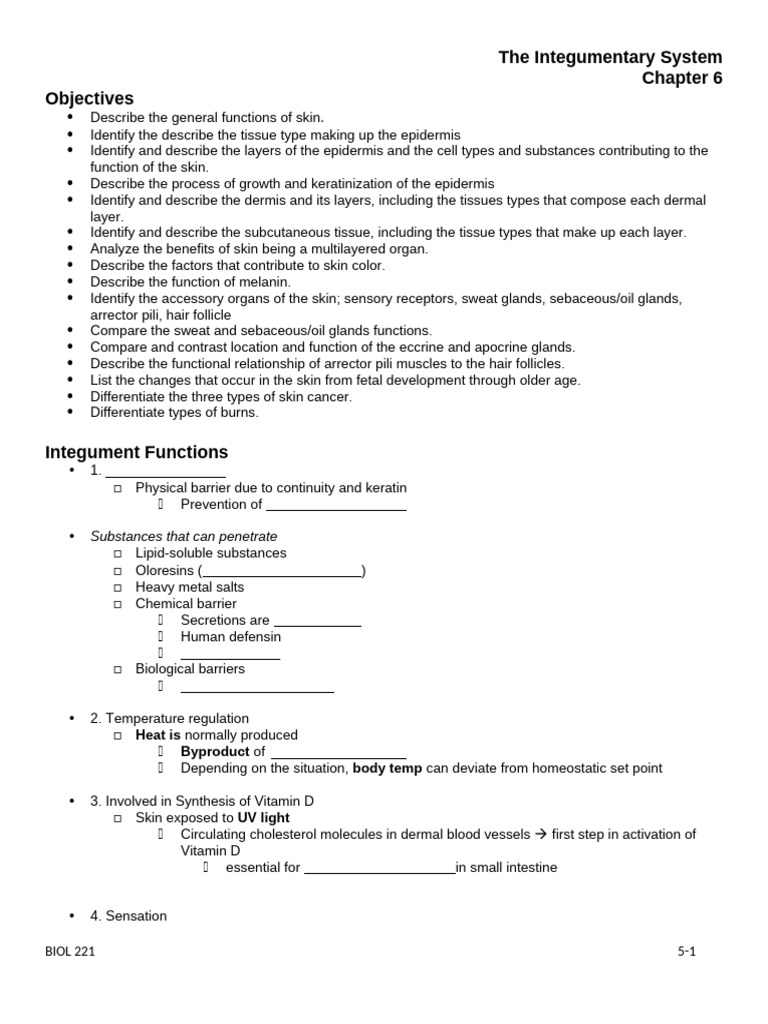 Chapter 6 Integumentary System(1) | PDF | Skin | Integumentary System