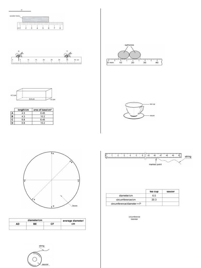 Physics - Grade 10 Questions | PDF | Pendulum | Acceleration