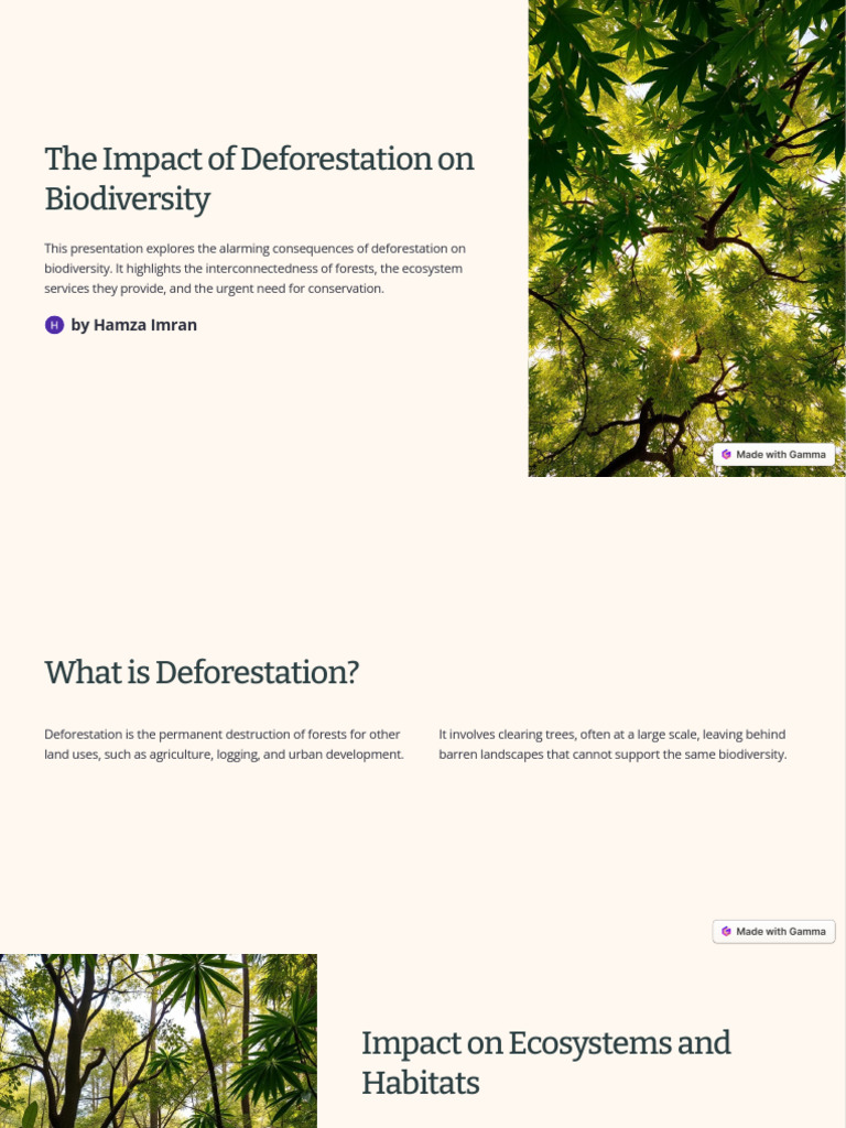 Deforestation's Effects on Biodiversity | PDF | Deforestation | Habitat ...
