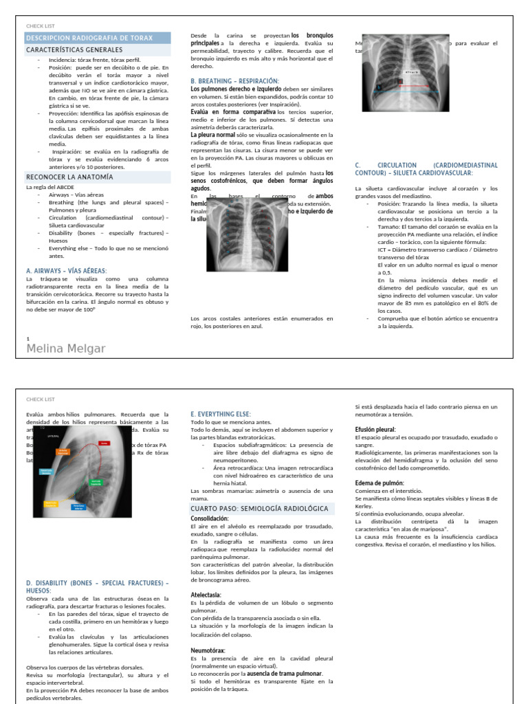 RX Flor | PDF | Tórax | Pulmón