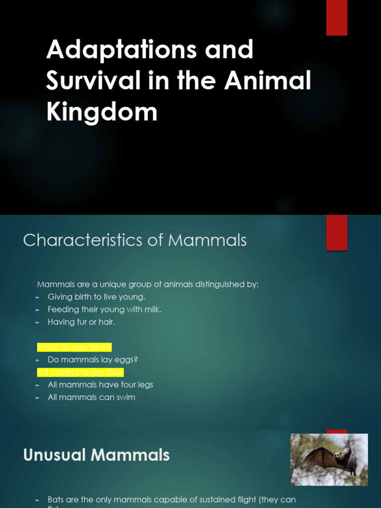 Adaptations and Survival in The Animal Kingdom | PDF | Mammals | Fish