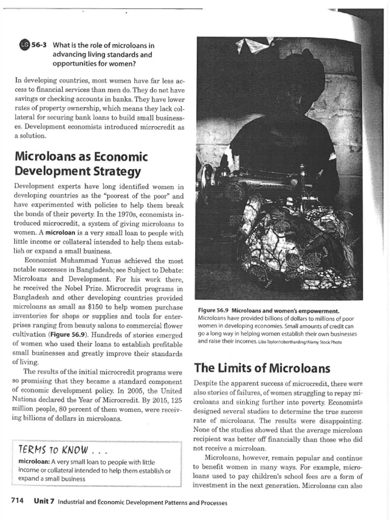 Microloans Pre-Reading | PDF