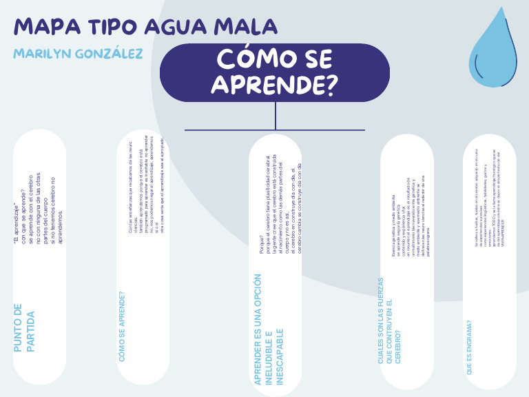 Mapa del Aprendizaje Cerebral | PDF | Aprendizaje | Conceptos psicologicos