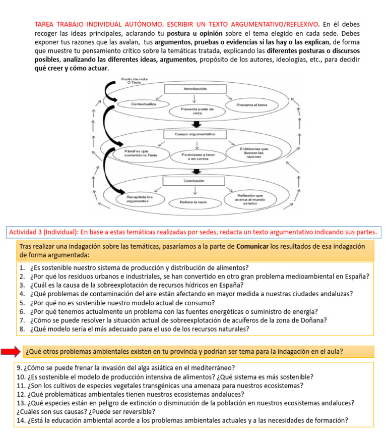 Instrucciones Actividad Texto argumentativo | PDF