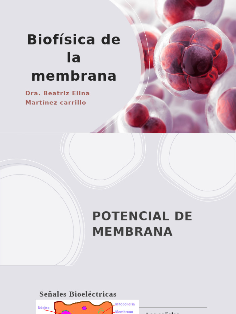Clase 7 Biofísica de La Membrana | PDF | Potencial de acción | Potencial de membrana
