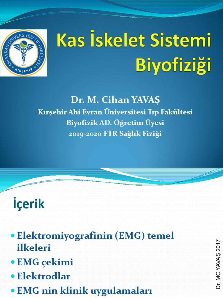 Kas Iskelet Sistemi Biyofiziği | PDF