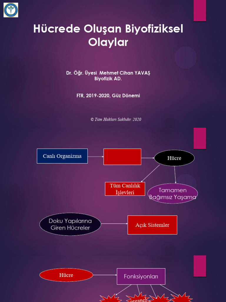 Hücre Biyofiziksel Olaylar | PDF