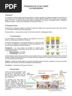 Le Carpelle : Organe des Angiospermes | PDF | Fruit | Embryon