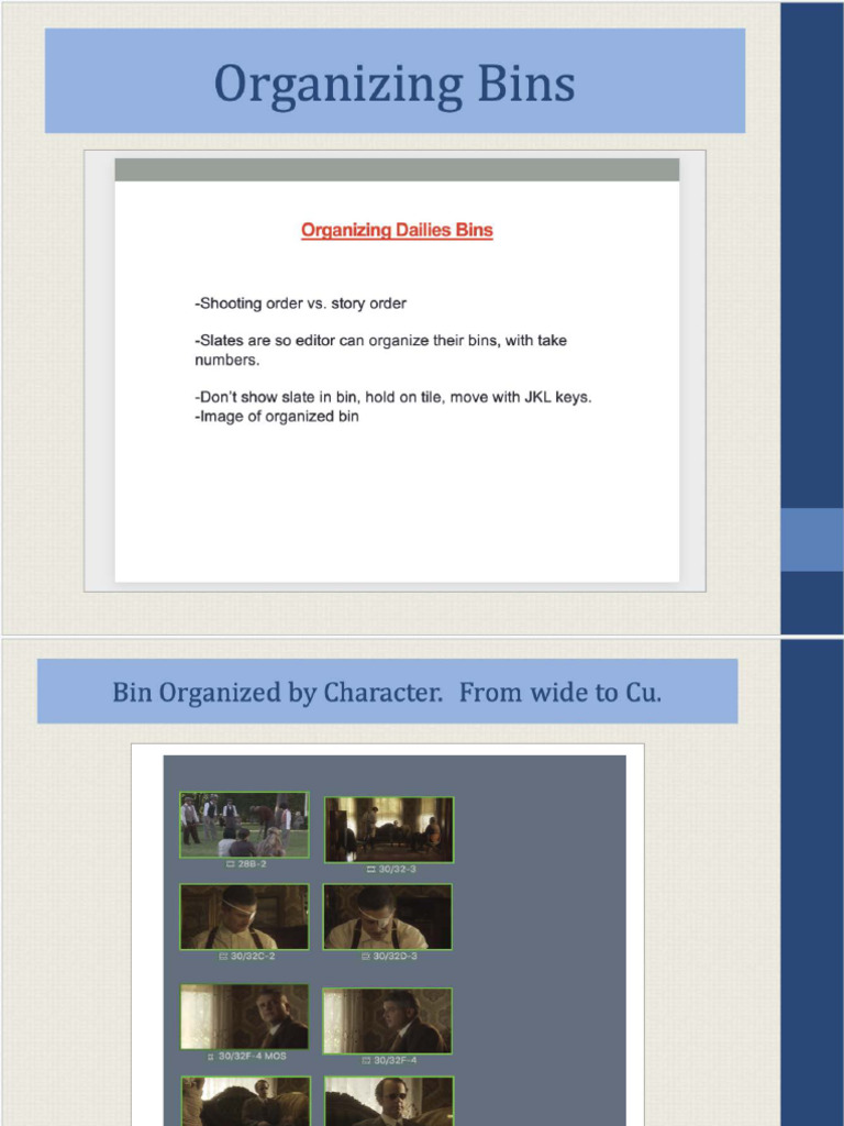 Bin Organization | PDF