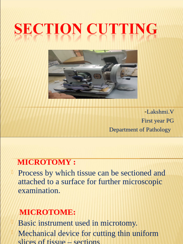 Section Cutting | PDF | Abrasive