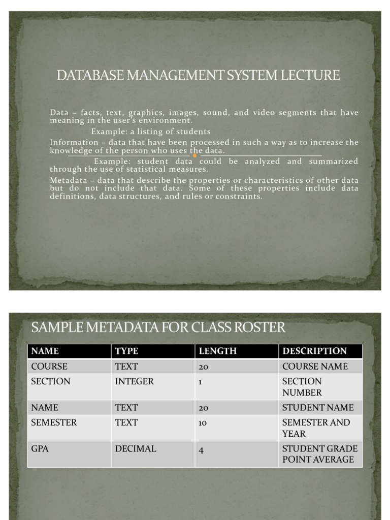 Database Management System Lecture | PDF | Databases | Data Model