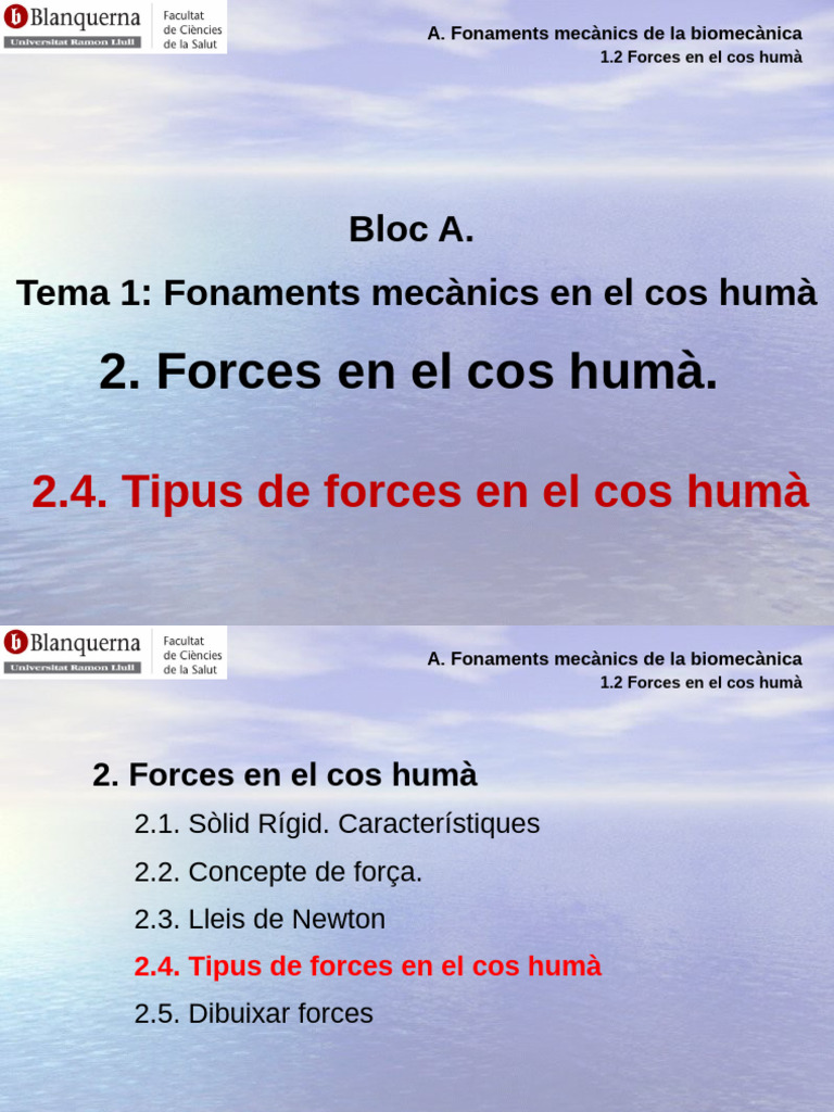 A124 Tipus de Forces en El Cos Humà | PDF