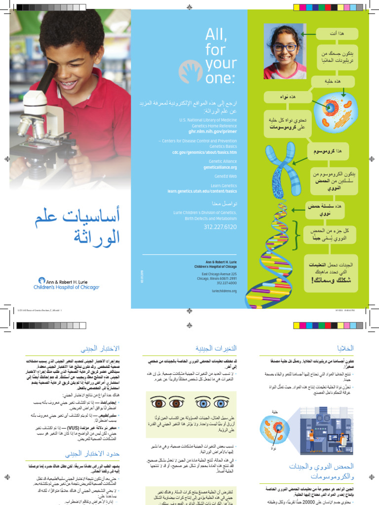 Basics of Genetics Brochure Arabic 2023 | PDF