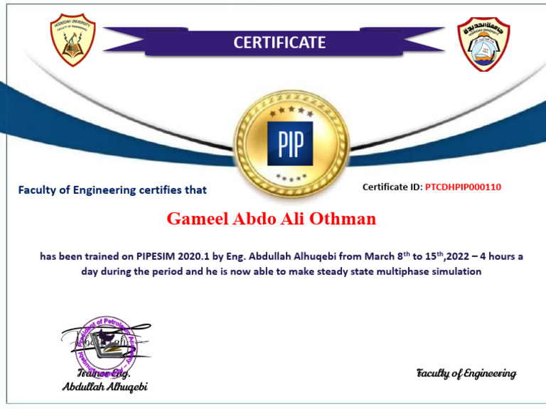 PIPESIM Simulation Course | PDF