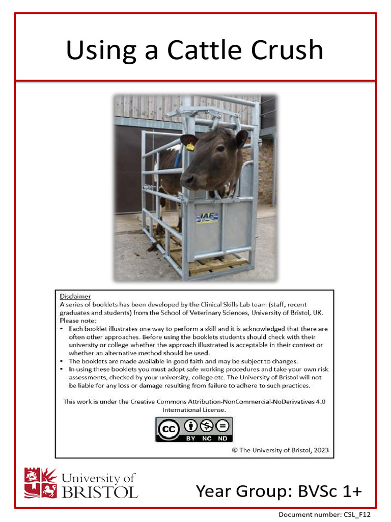 Using a Cattle Crush | PDF | Cattle
