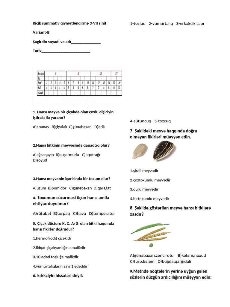 VII Sinif KSQ 3 B TƏZƏ | PDF