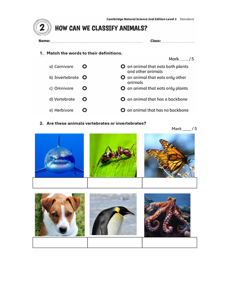 Exam Animals CM | PDF