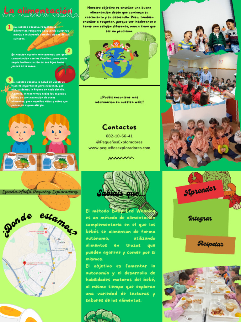 Folleto Infantil para Actividades Proyectos Con Niños Orgánico Bonito ...