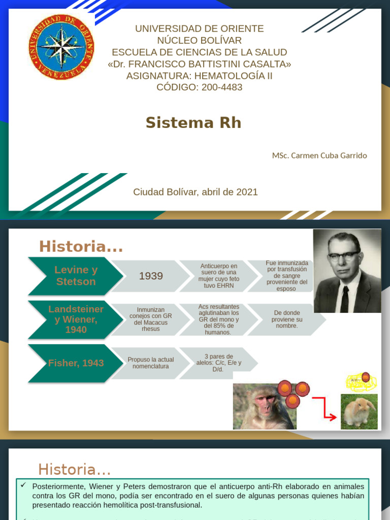 Importancia y Teorías del Sistema Rh | PDF | Anticuerpo | Antígeno